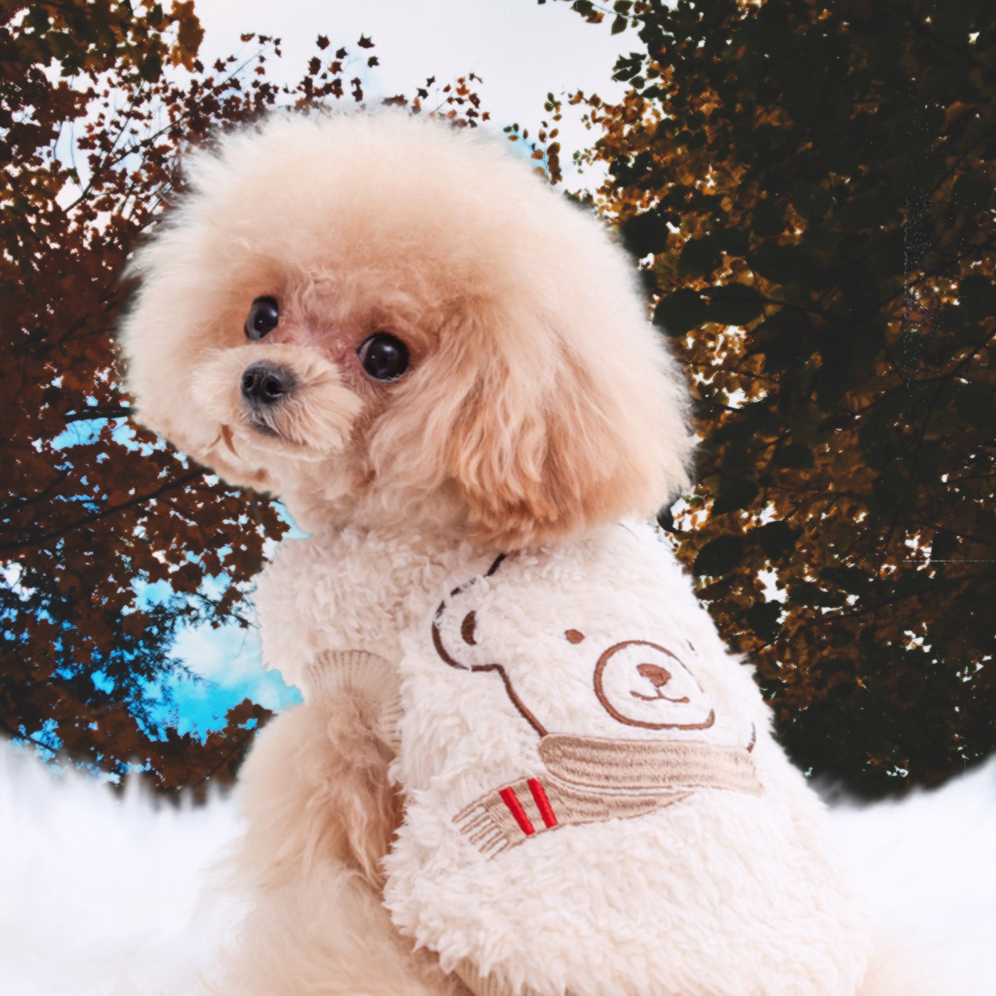 Autumn Winter Collection 2024 – Princess Marinoloco